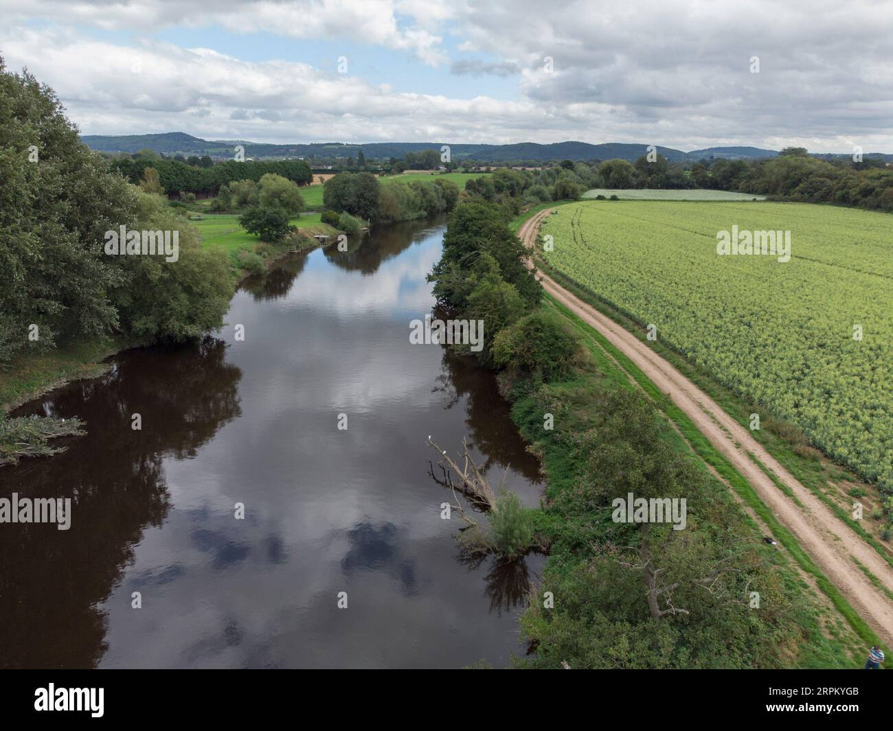 The River wye near Hereford England Stock Photo - Alamy
