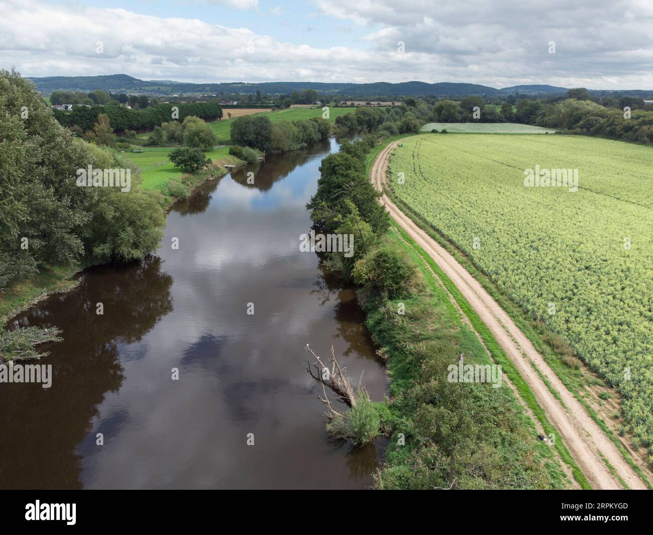 The River wye near Hereford England Stock Photo - Alamy