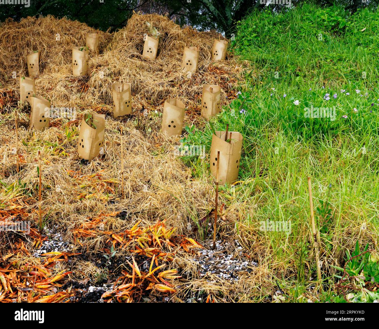 The irony. Herbicide use on a seafront bank to kill plants so that new ...