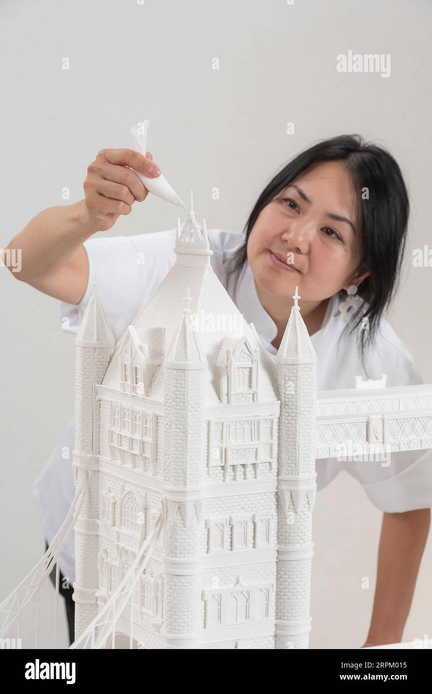 Non Exclusive: Artist Michelle Wibowo spent 150 hours baking and ...