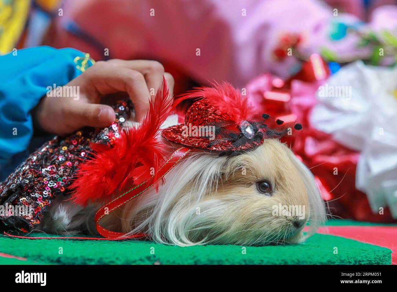 Philipines manila chinese hi-res stock photography and images - Alamy