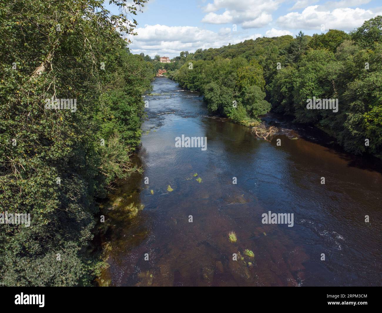 River eden at wetheral hi-res stock photography and images - Alamy
