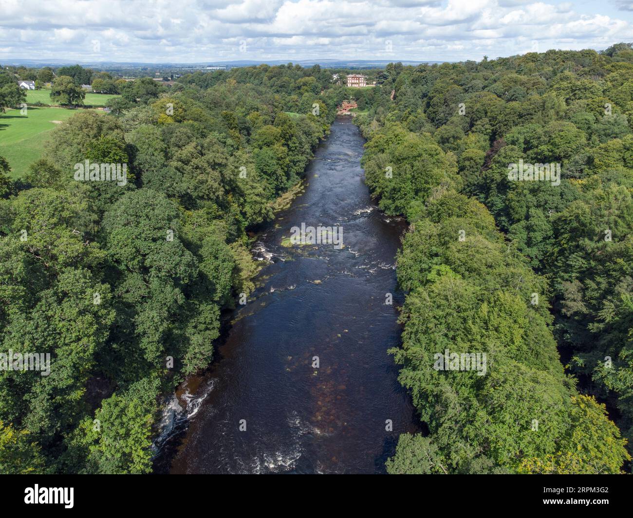 River eden at wetheral hi-res stock photography and images - Alamy
