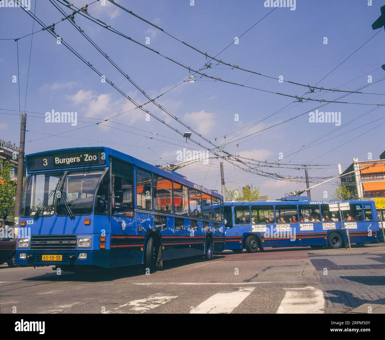 Burgers zoo netherlands hi-res stock photography and images - Alamy