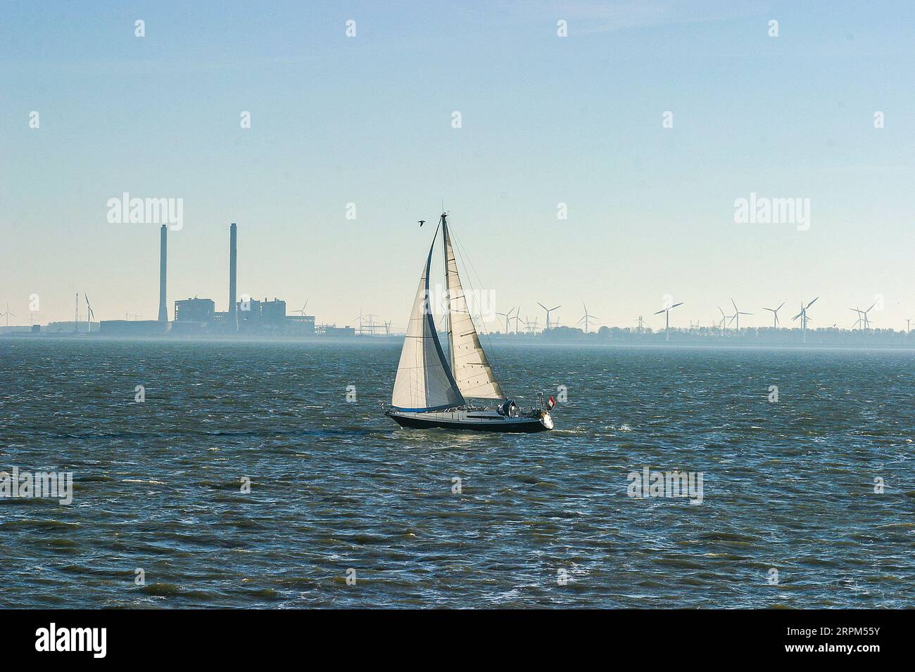Netherlands, Lelystad. Sailing boat on the IJsselmeer lake, windmills ...