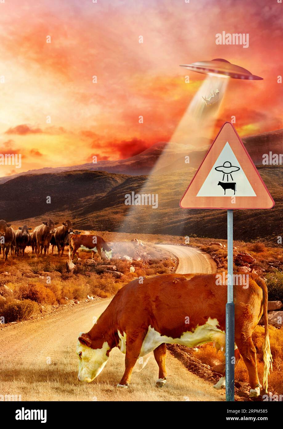 Ufo, spaceship light and cow abduction in countryside for mission ...