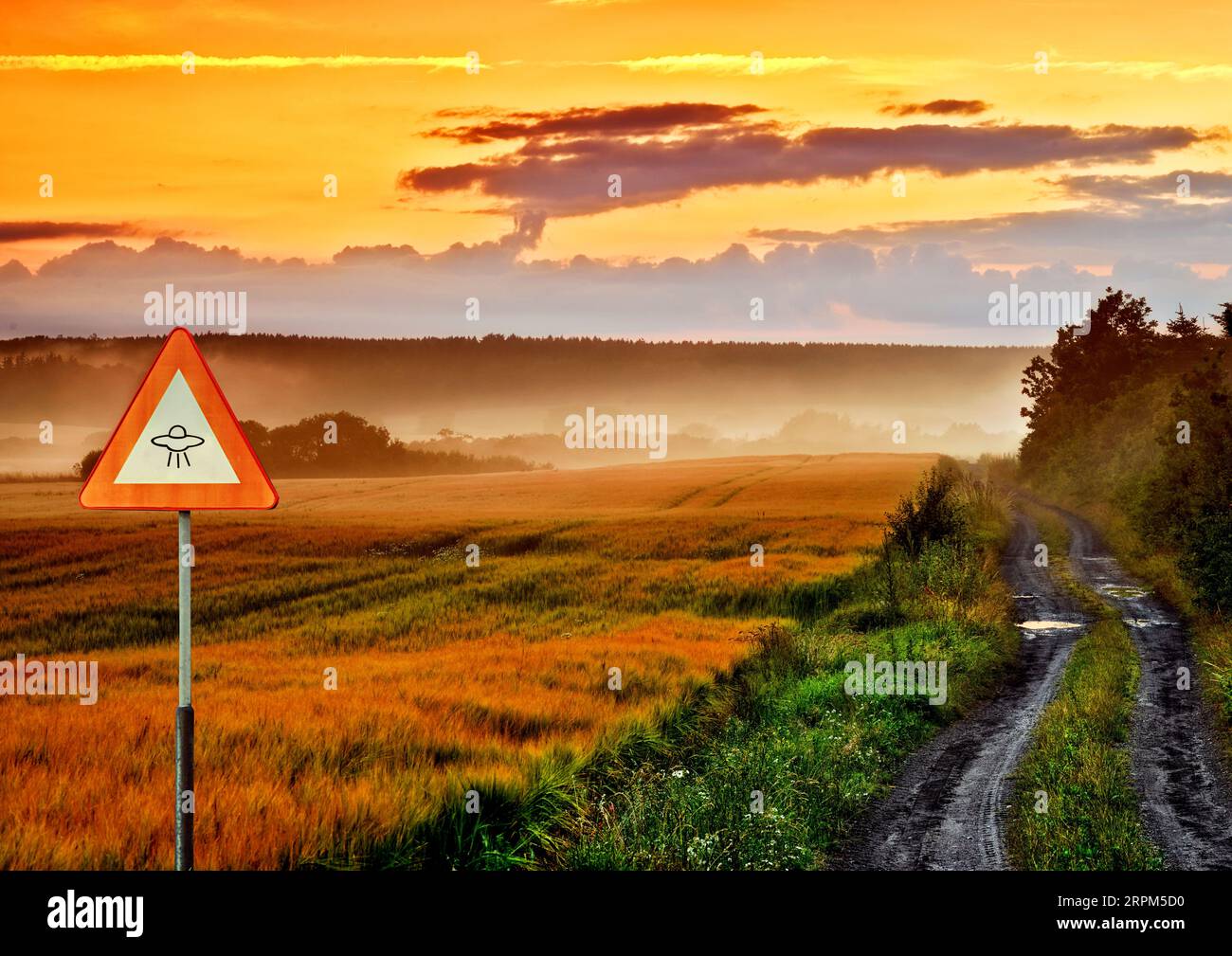 Alien, spaceship sign and road in nature for UFO warning, science ...