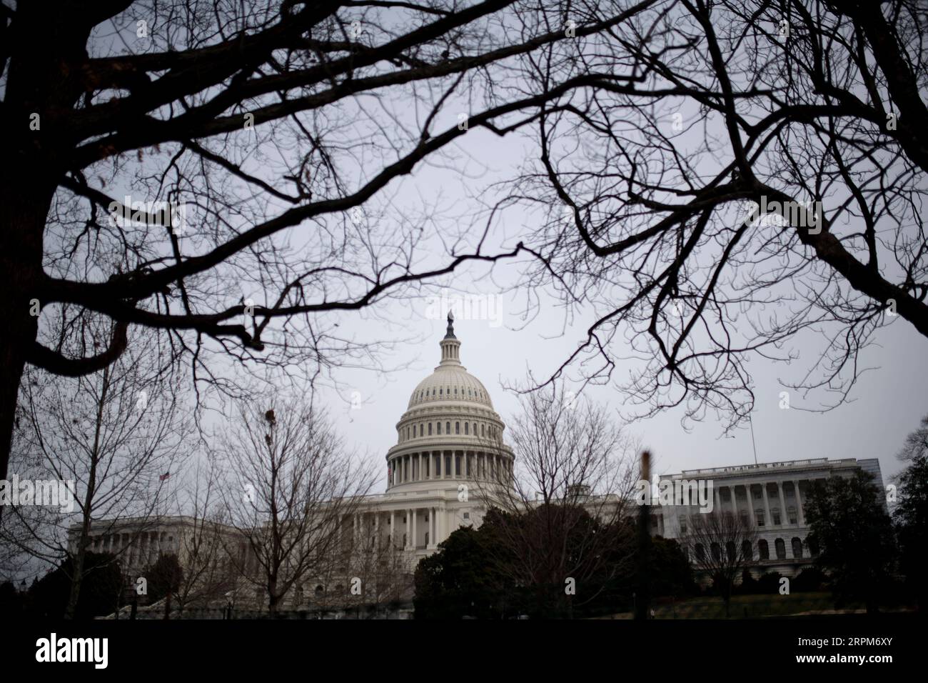 Trial senate debate hi-res stock photography and images - Alamy