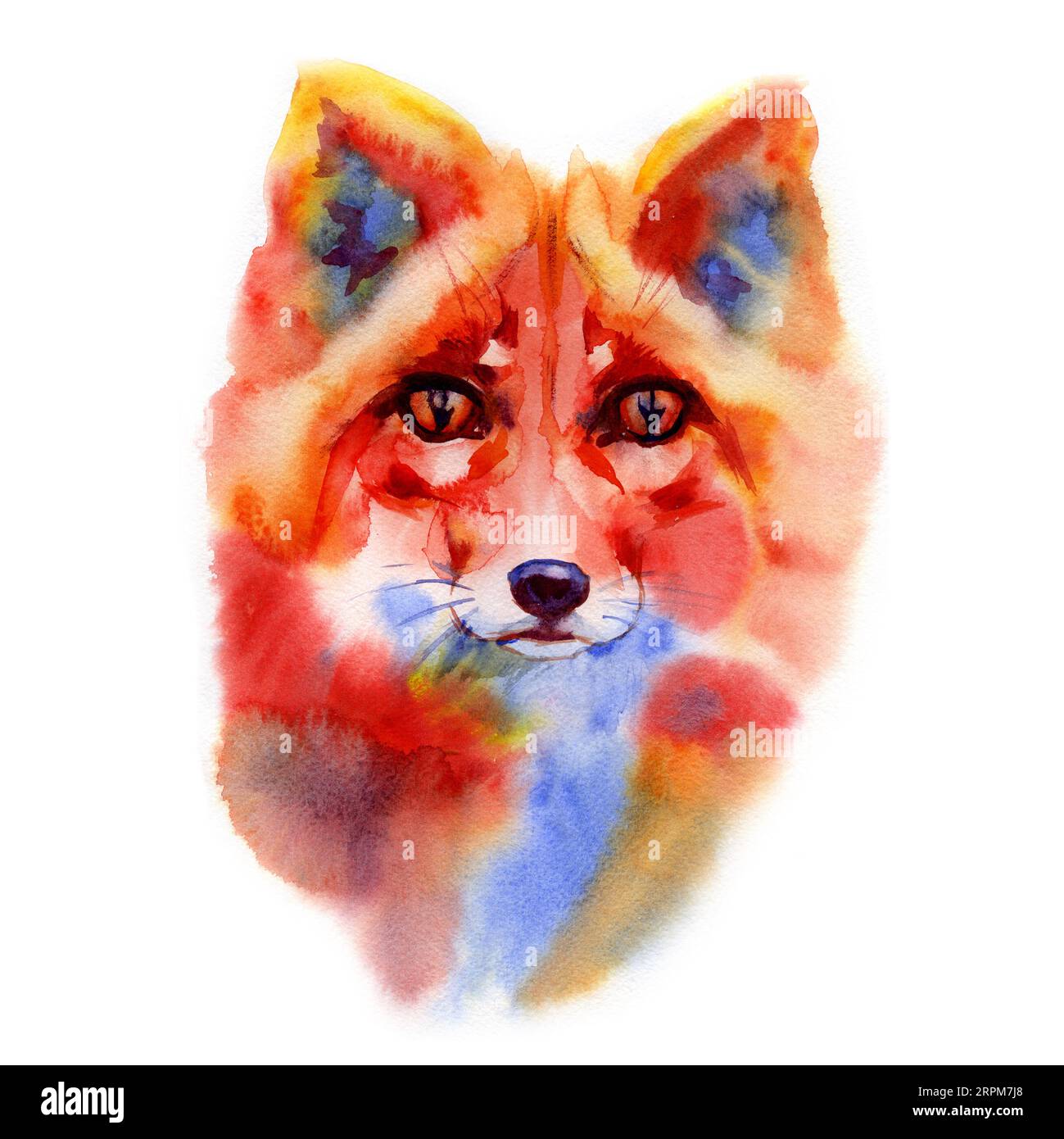 Watercolor Wild Animal Red Fox Hand Drawn Portrait Illustration Stock ...