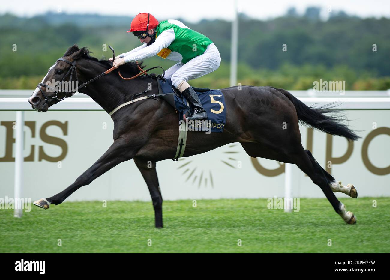 William muir hi-res stock photography and images - Alamy