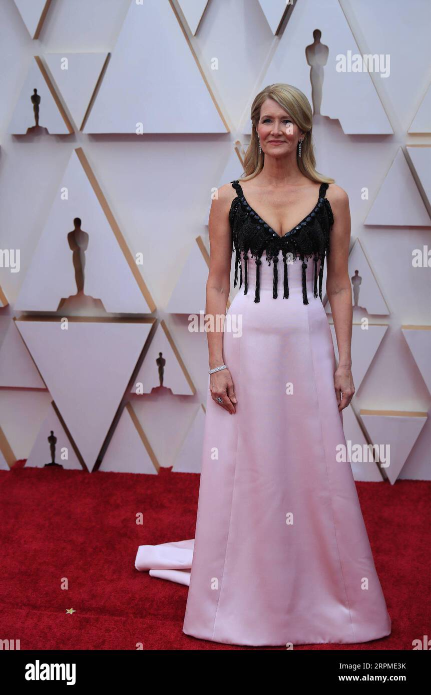 Laura dern at the 2020 oscars hi-res stock photography and images - Alamy
