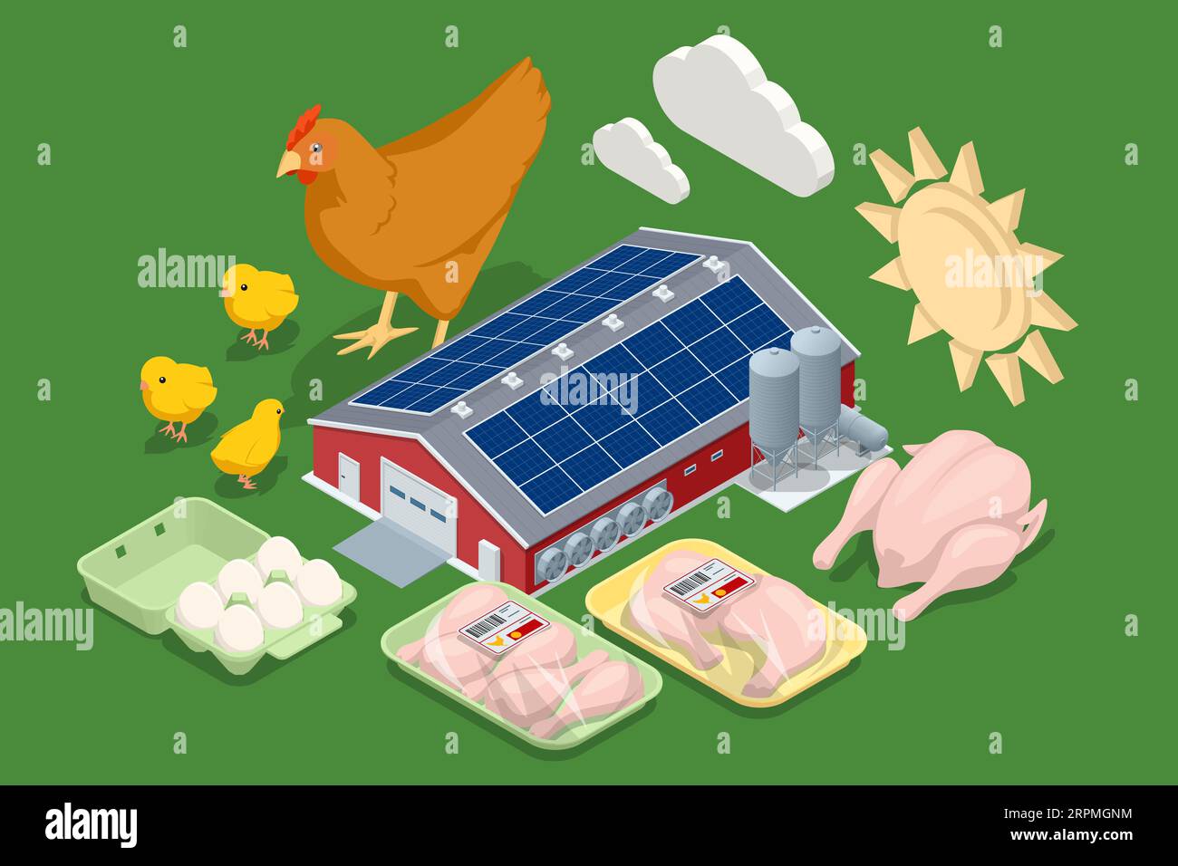 Isometric Poultry Farm Industrial. Poultry farm building, production of ...