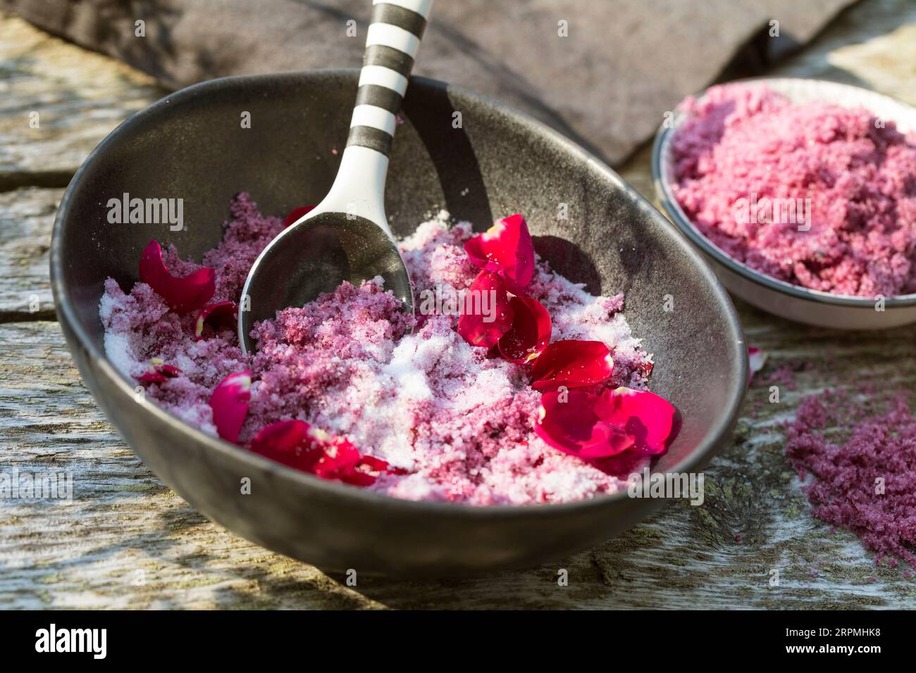 Rugosa rose, Japanese rose (Rosa rugosa), selfmade rose flower salt ...