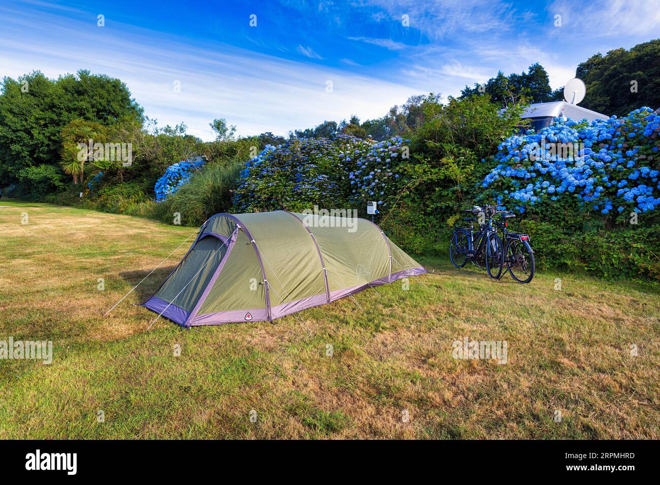 Tunnel tent in a meadow, camping, sustainable tourism, Cornwall, South England, England, United ...