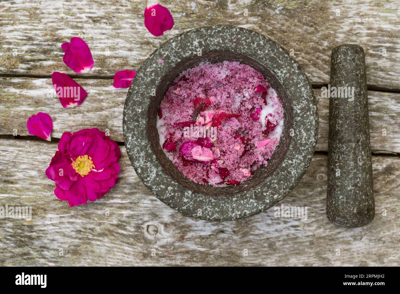 Rugosa rose, Japanese rose (Rosa rugosa), selfmade rose flower salt ...