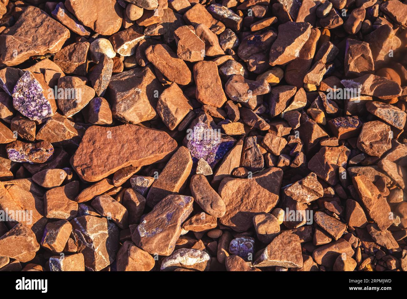 Raw amethysts on the shores of the White Sea. Kola Peninsula. Natural ...