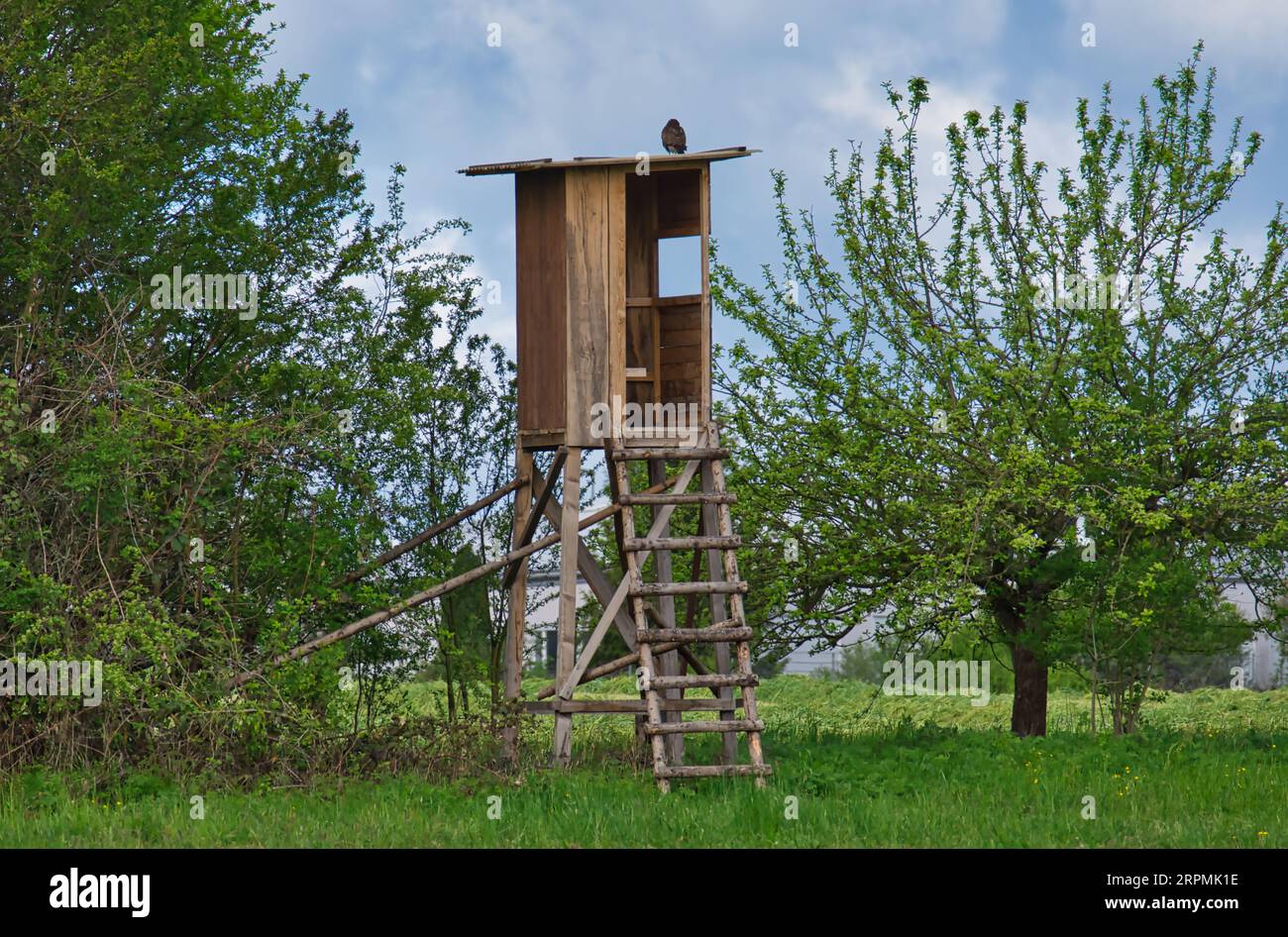 A wooden outhouse situated in a picturesque outdoor setting ...
