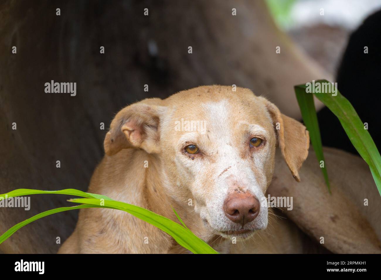 Prefabricated drainage hi-res stock photography and images - Alamy