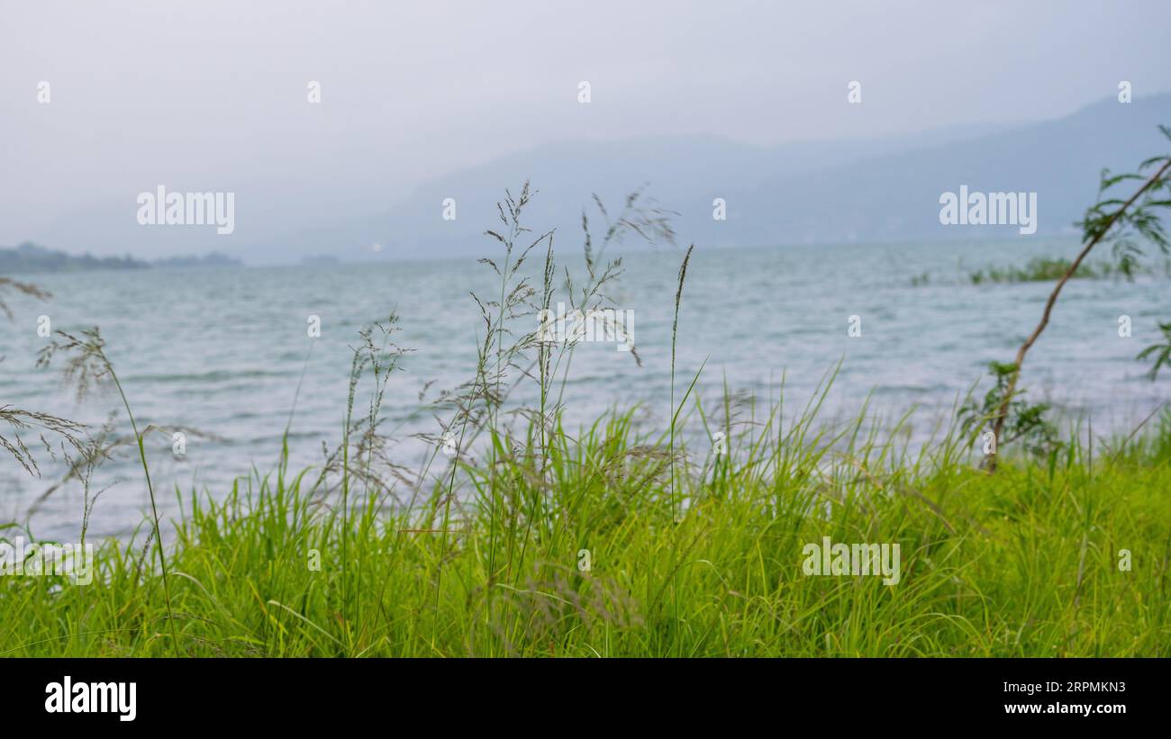 Beautiful lake view in hi-res stock photography and images - Alamy