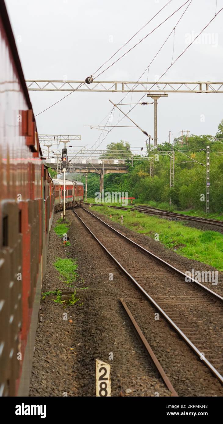 train moving in forest Stock Photo - Alamy