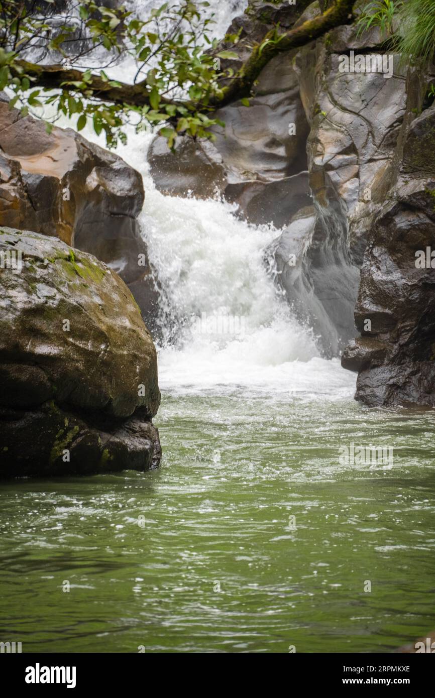 small waterfalls in the forest Stock Photo - Alamy