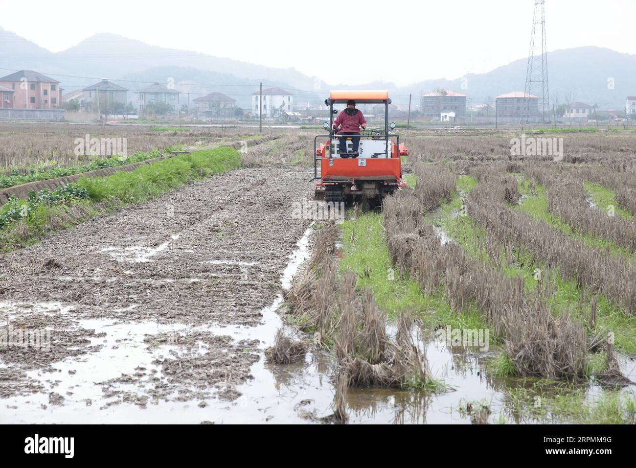 Guoxbin hi-res stock photography and images - Alamy