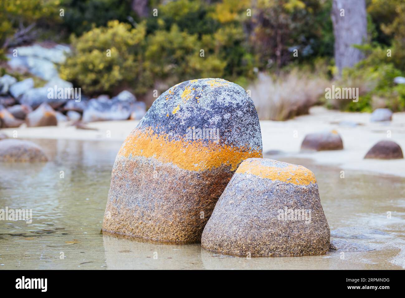 Detail of the iconic lichen covered rocks in the Bay of Fires at ...