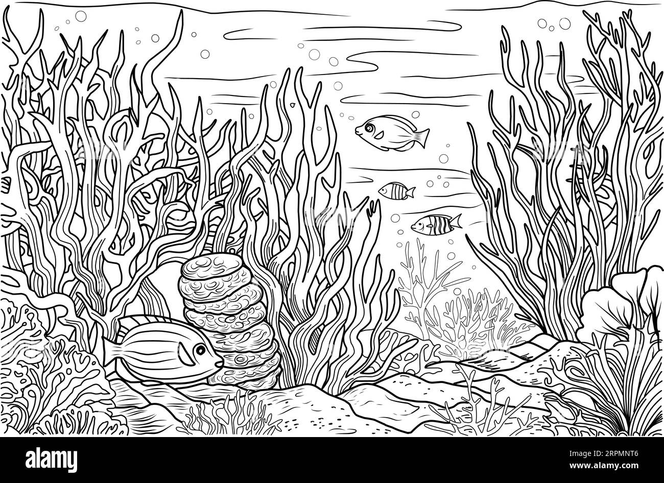 Atlantic Ocean Coloring Pages [2025]