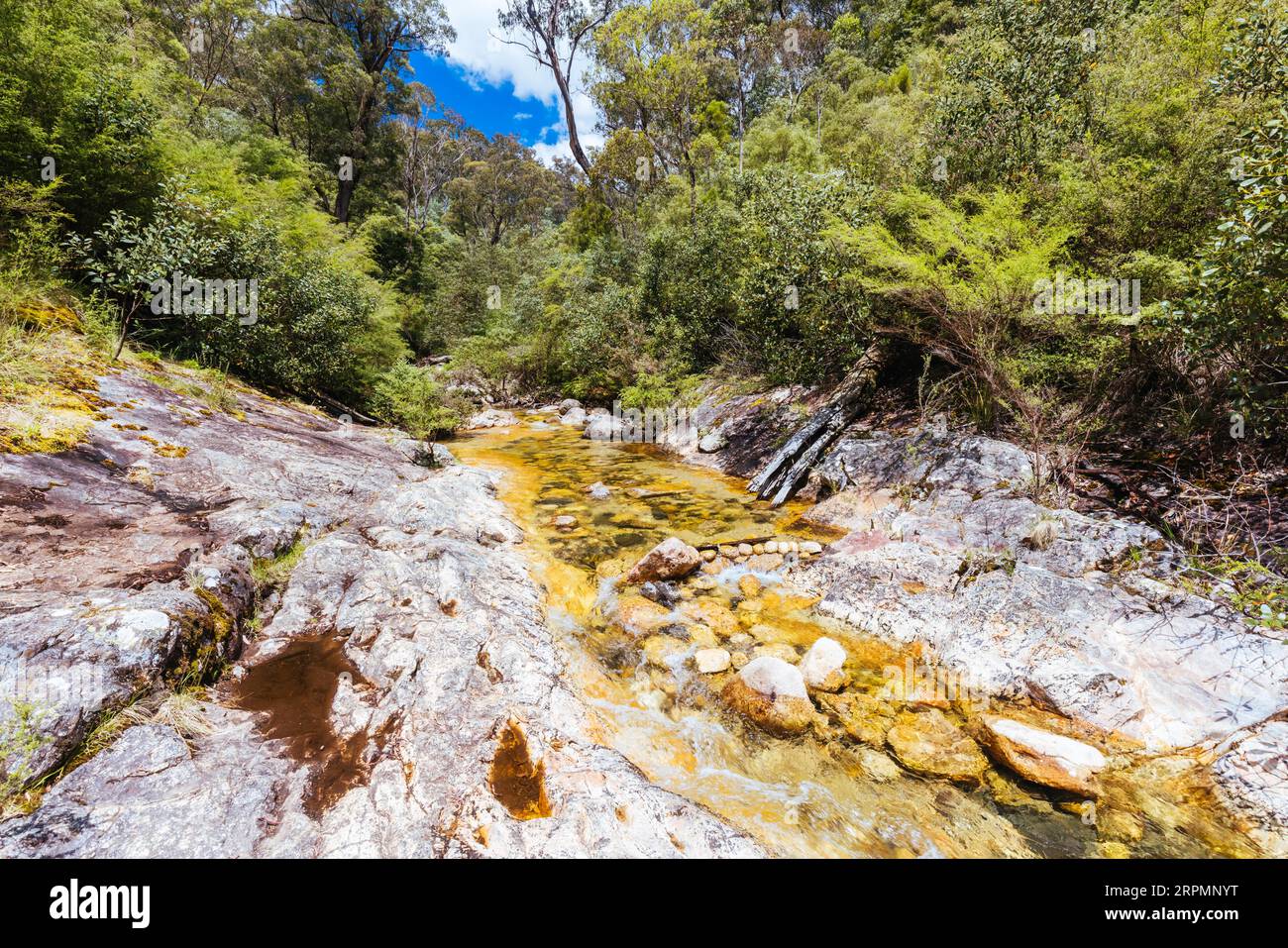 The secluded upper section of Rollasons Falls during summer on the ...