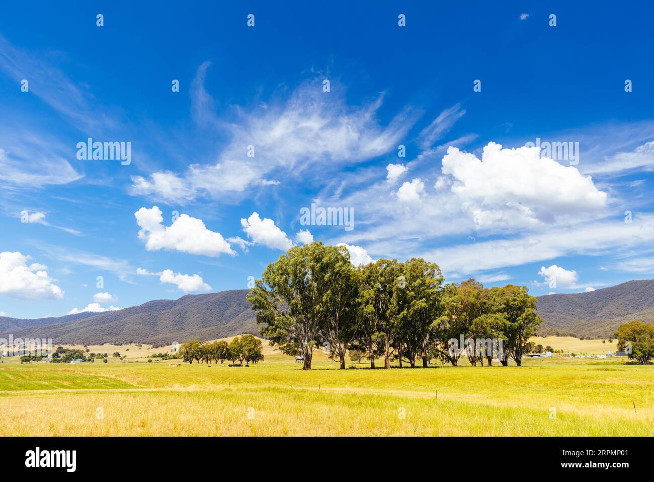 Landscape during summer around the Kiewa River at Keegans Bridge and ...