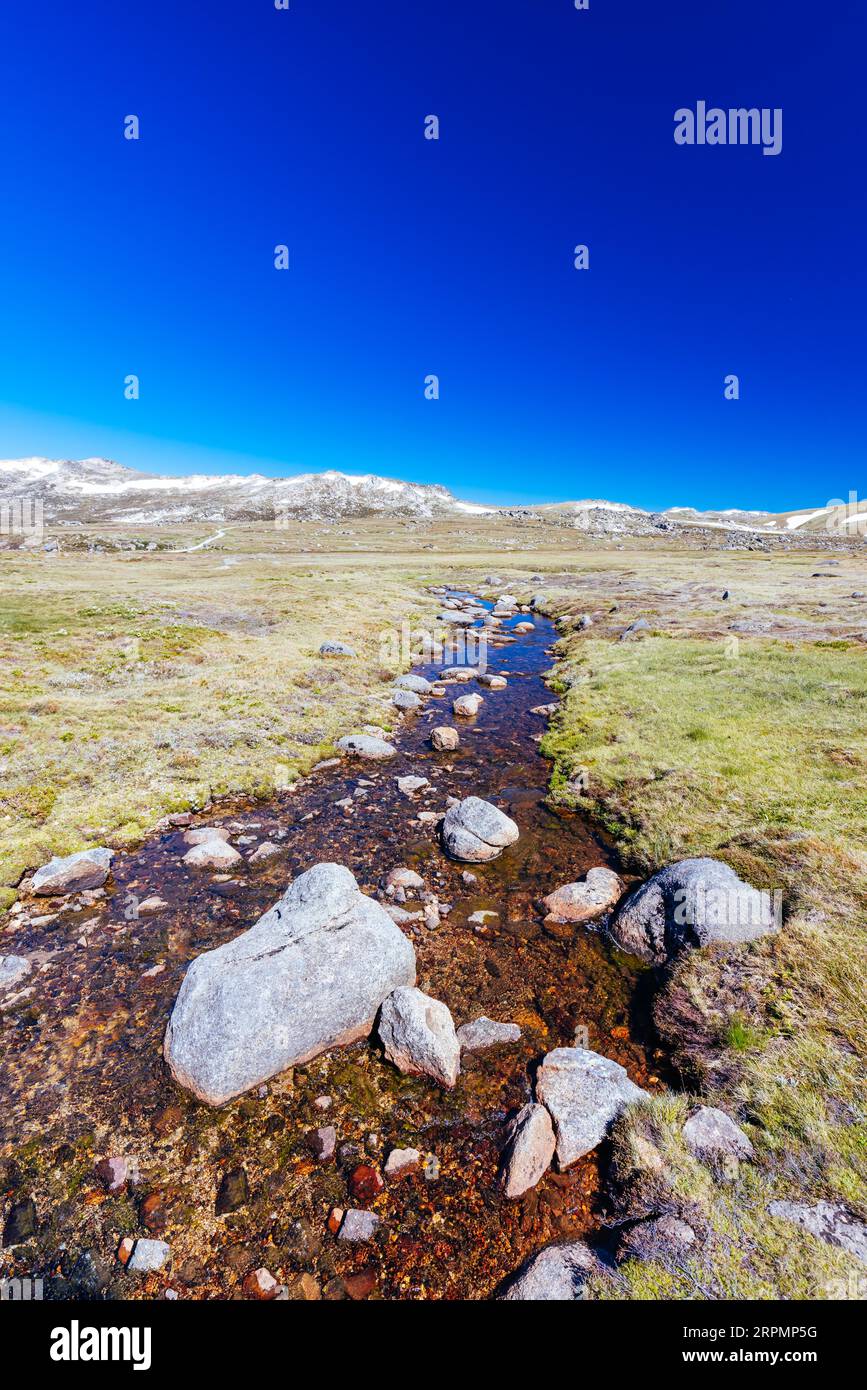The Snowy River near Seamans Hut on a summer's day in Kosciuszko ...