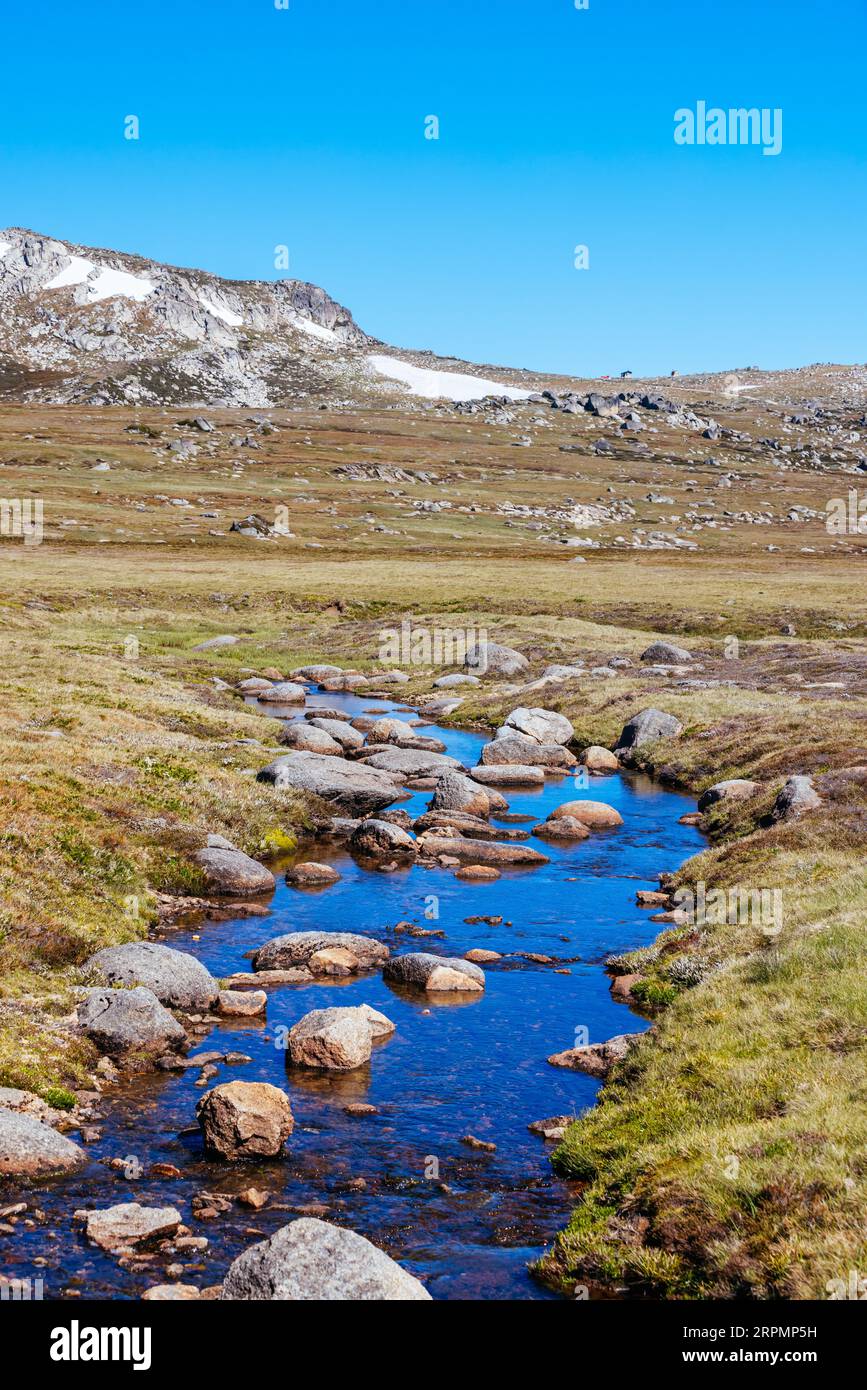 The Snowy River near Seamans Hut on a summer's day in Kosciuszko ...