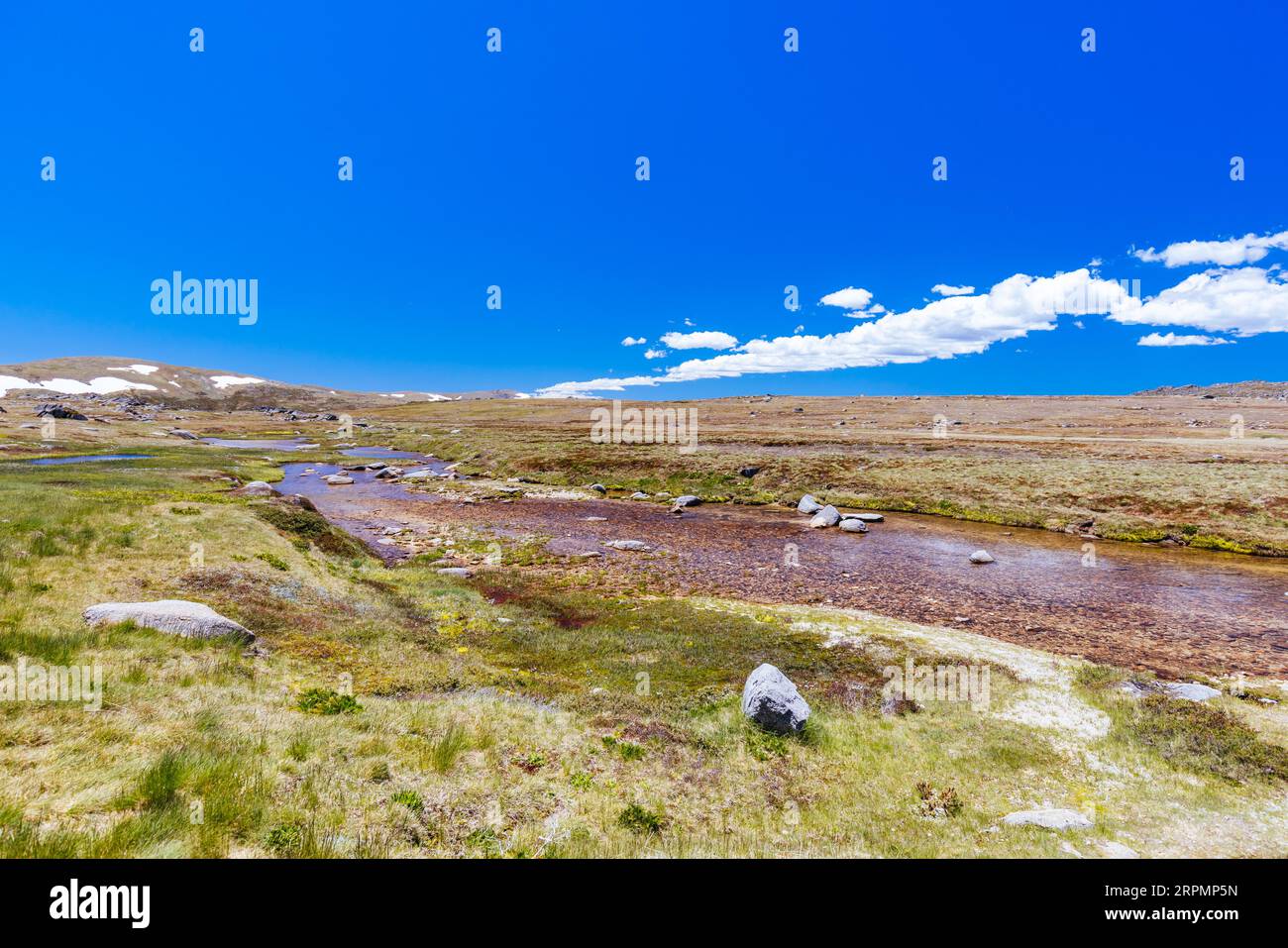 The Snowy River near Seamans Hut on a summer's day in Kosciuszko ...