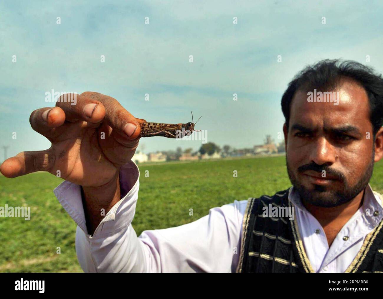 Okara pakistan hi-res stock photography and images - Alamy