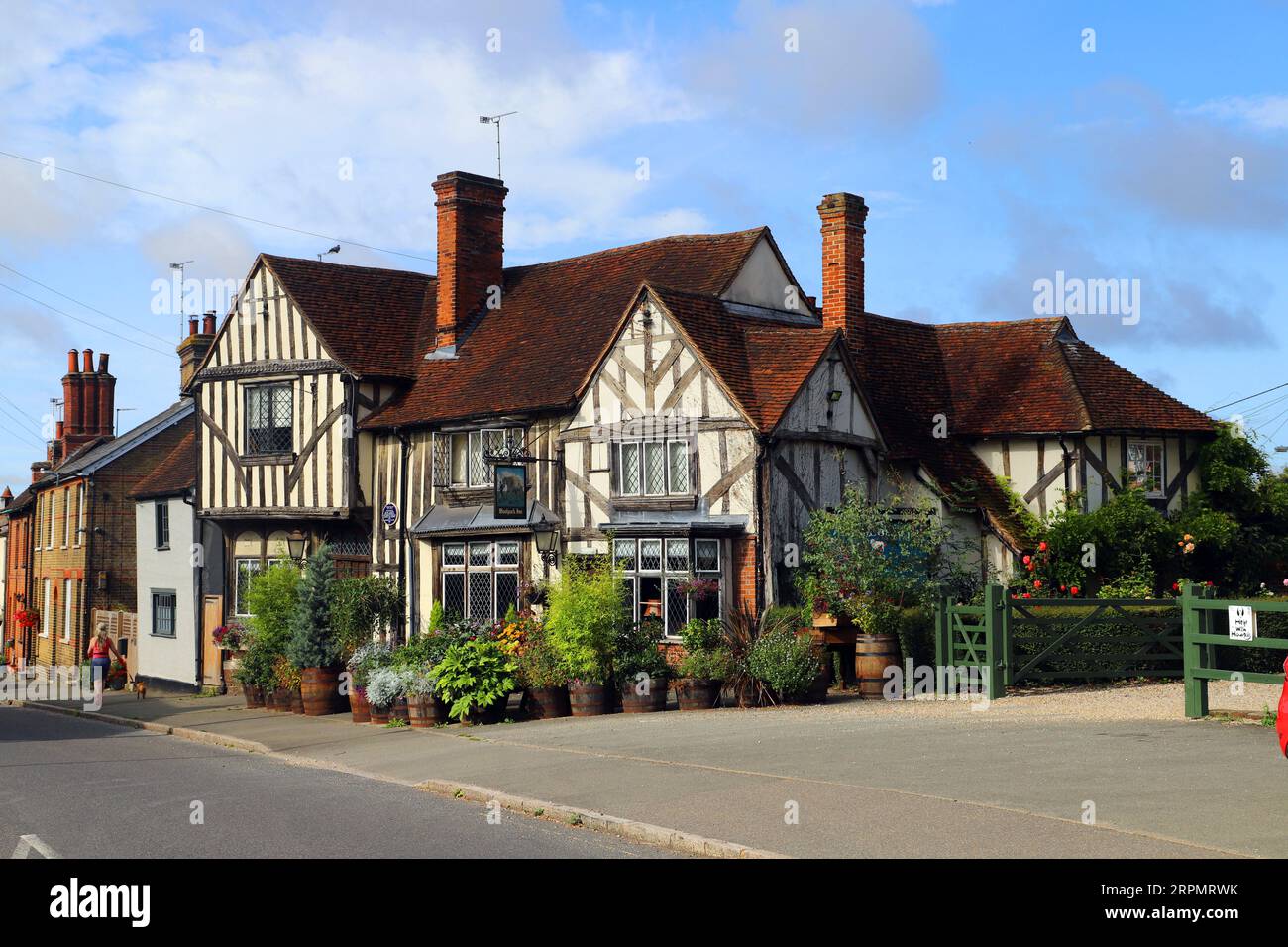 Wookpack hi-res stock photography and images - Alamy