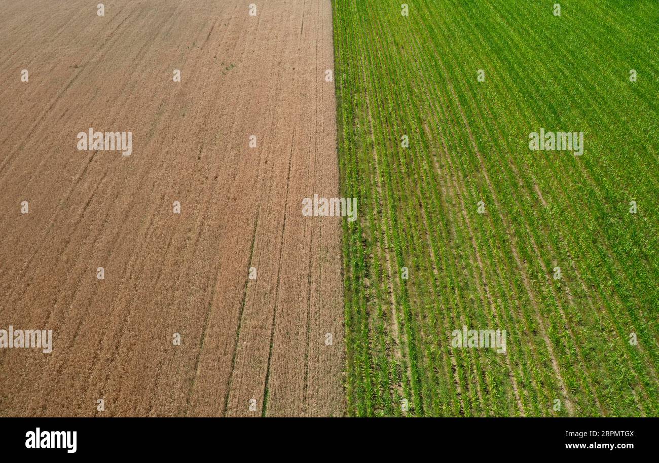 Aerial drone shot agriculture fields hi-res stock photography and ...