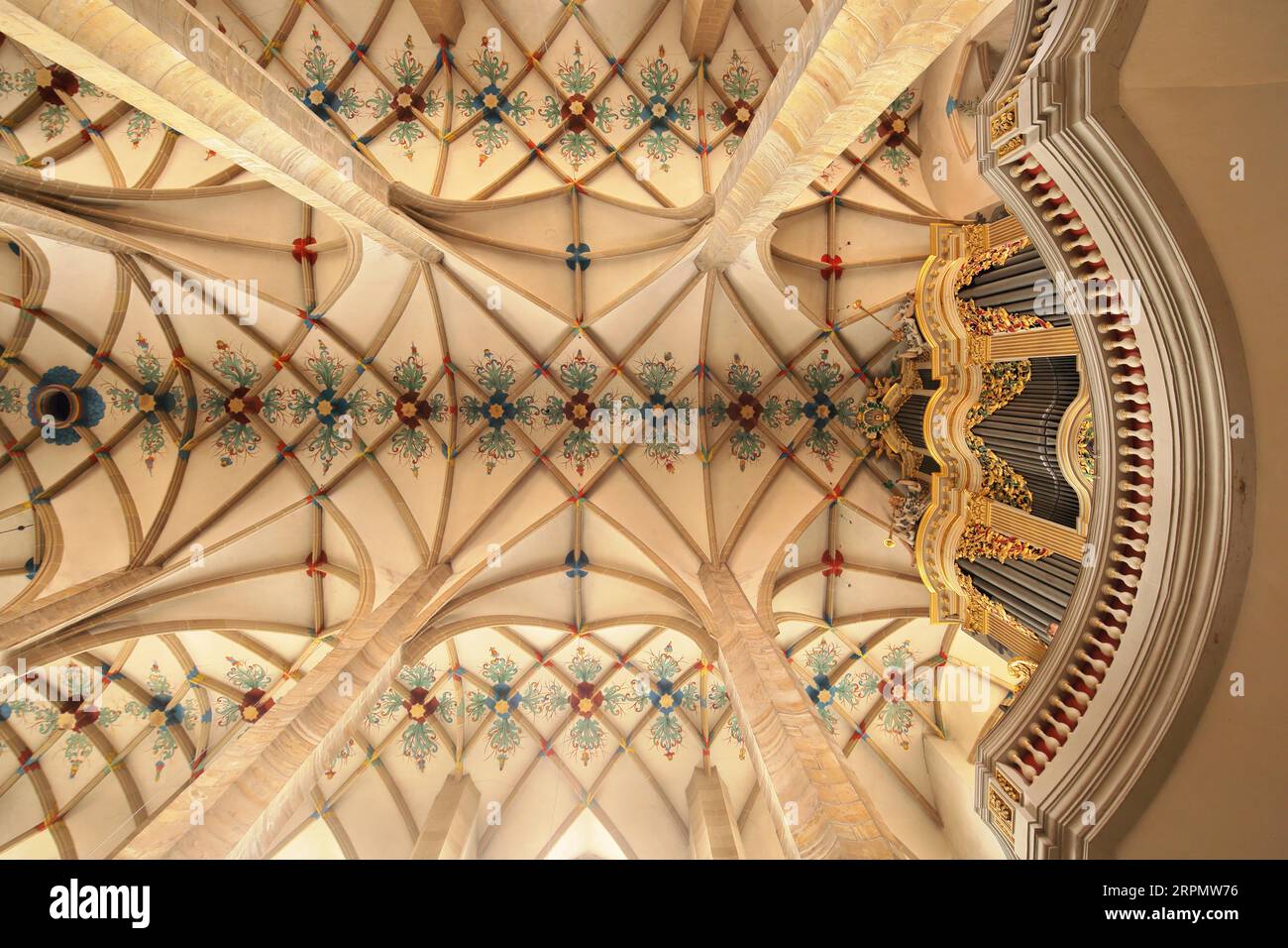 View upwards to the Gottfried Silbermann organ and ceiling vault in St ...