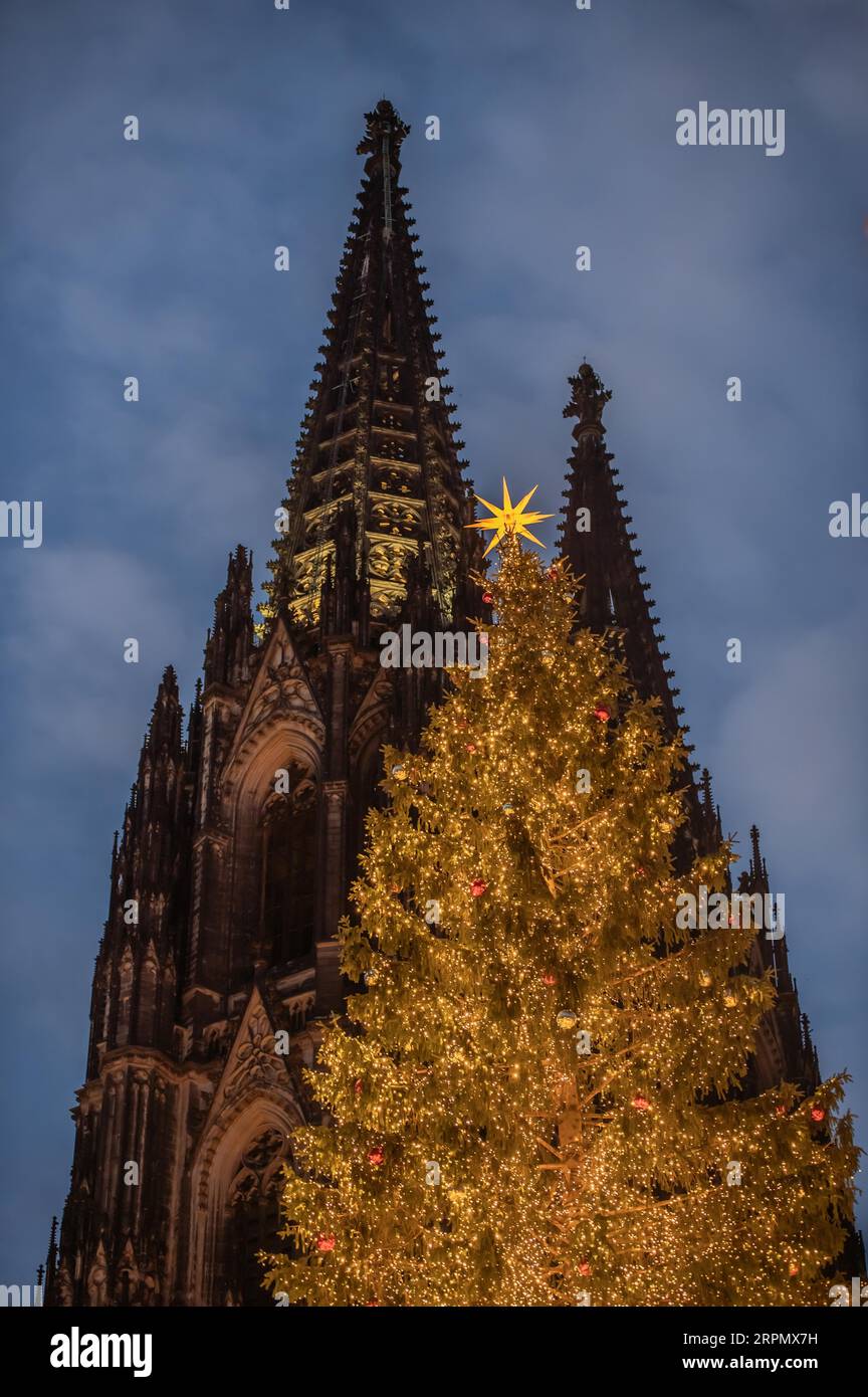 Christmas tree at Cologne Cathedral Stock Photo - Alamy