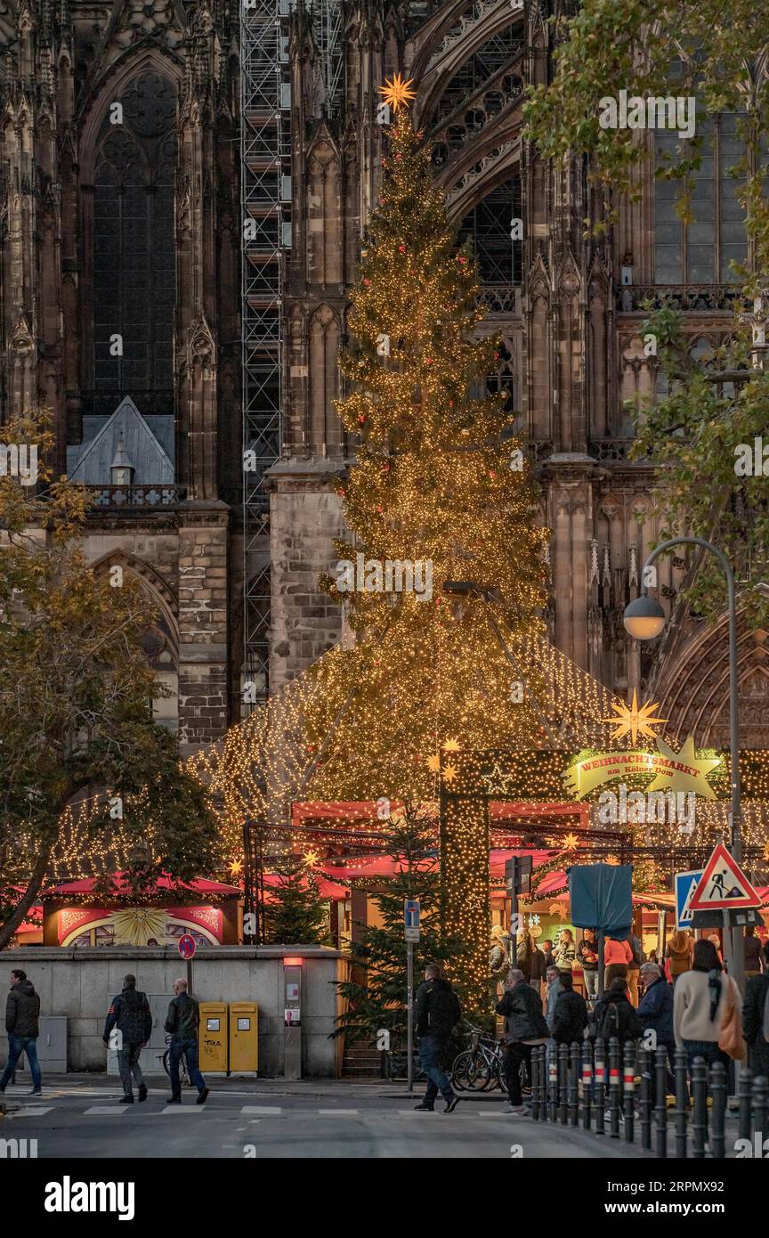 Christmas tree at Cologne Cathedral Stock Photo - Alamy