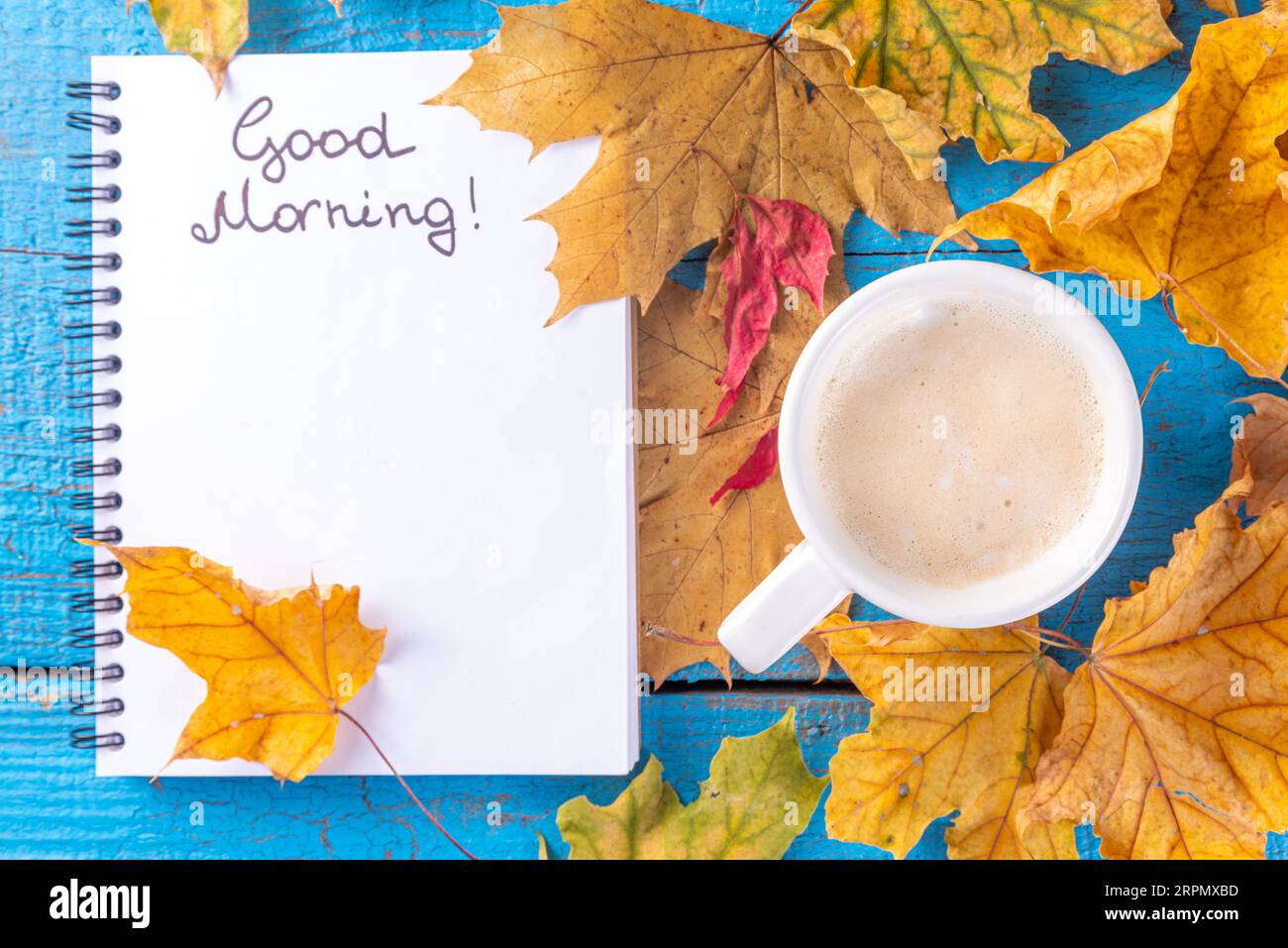 Autumn Good Morning