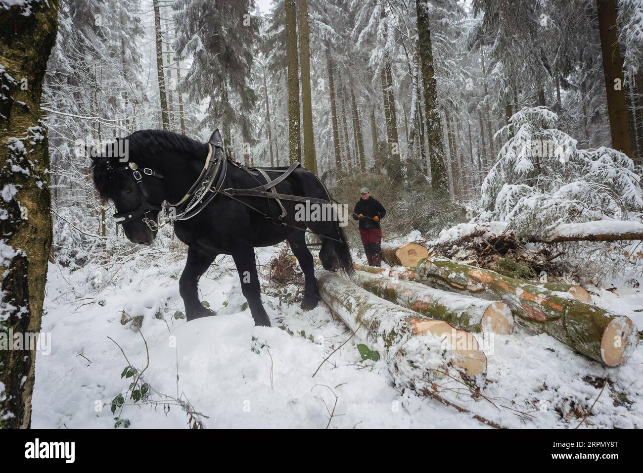 Winter in the Ore Mountains Stock Photo - Alamy