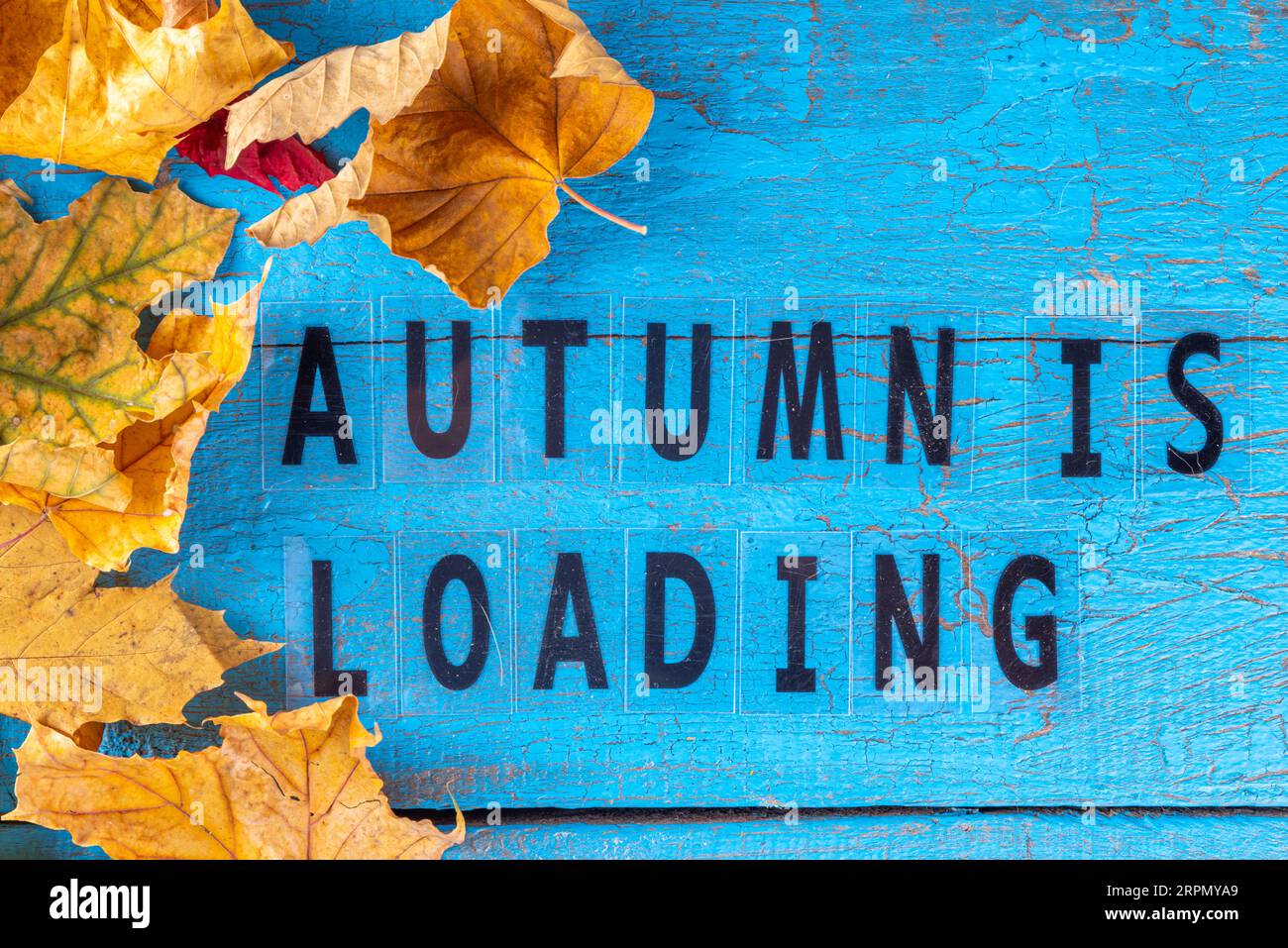 Autumn is coming, fall season loading background. Yellow, orange, red ...