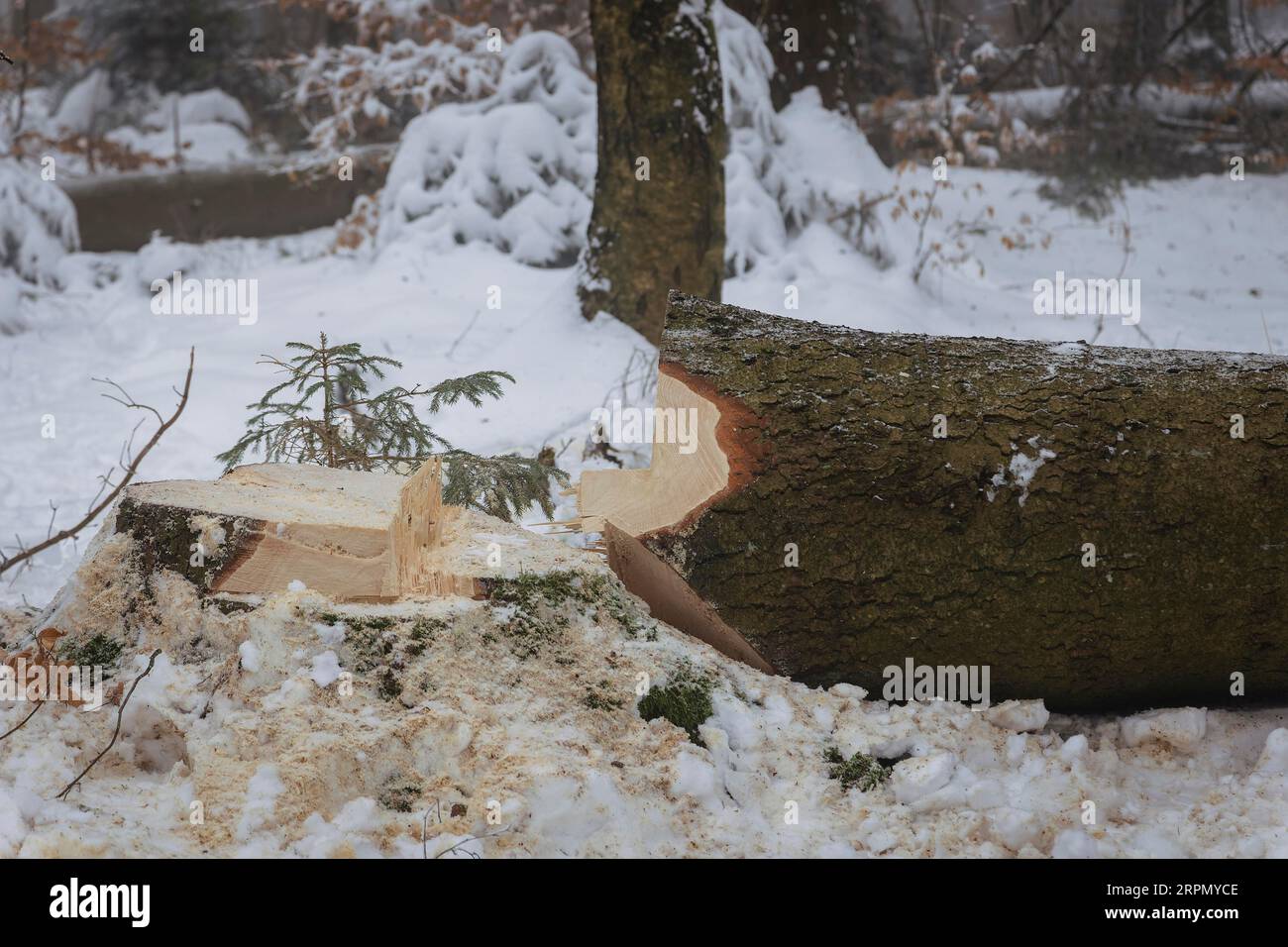 Winter in the Ore Mountains Stock Photo - Alamy