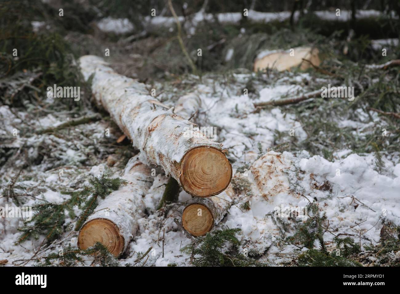 Winter in the Ore Mountains Stock Photo - Alamy
