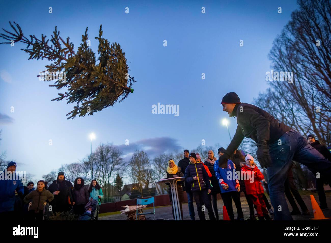 Little tree big tree hi-res stock photography and images - Alamy