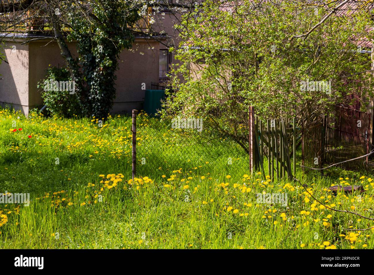 Spring season photography hi-res stock photography and images - Alamy