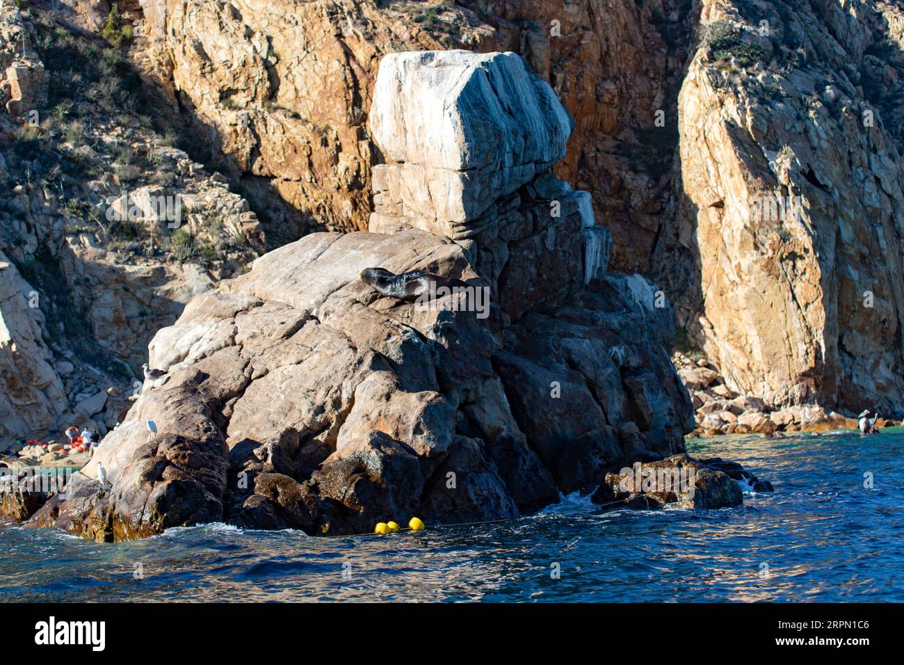 The pelican rock in the famous Sea of Cortez on the Mexican coast of ...