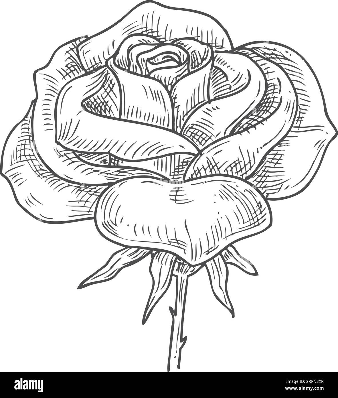 Engraving ink hi-res stock photography and images - Alamy