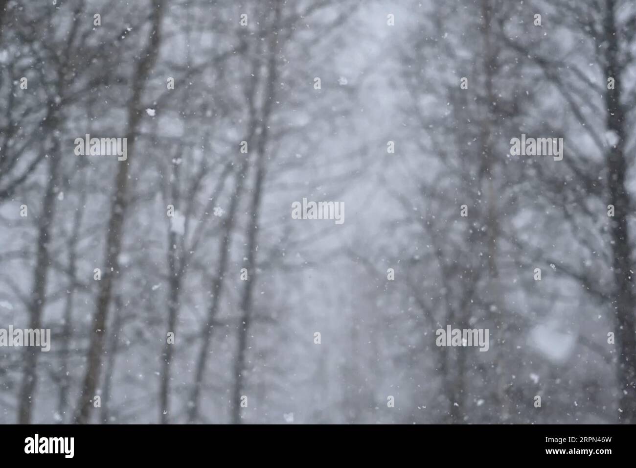 Flurry weather winter flakes hi-res stock photography and images - Alamy