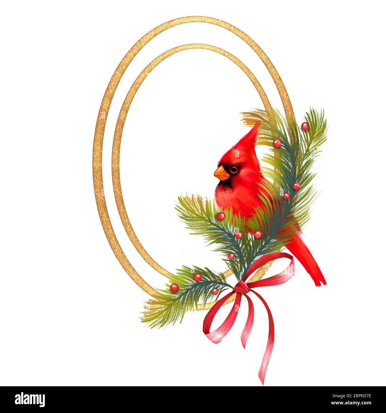 Cardinal bird Cut Out Stock Images & Pictures - Alamy